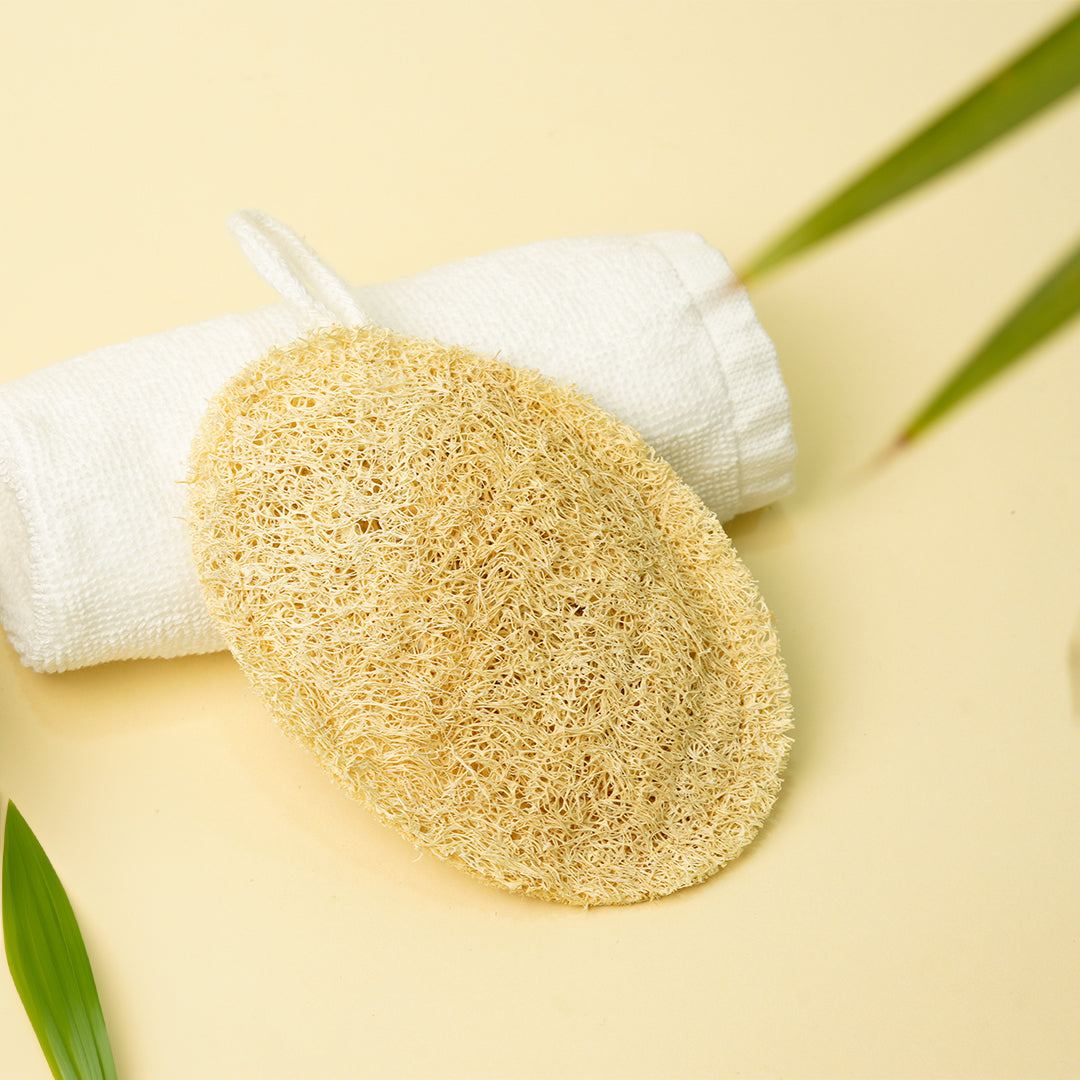 Buy Natural Vegetable Loofah (Pack of 3) Online | The Bare Bar – THE ...