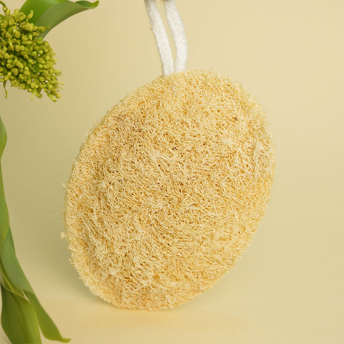 Body Care: Loofah bath | Buy soap dish online – THE BARE BAR